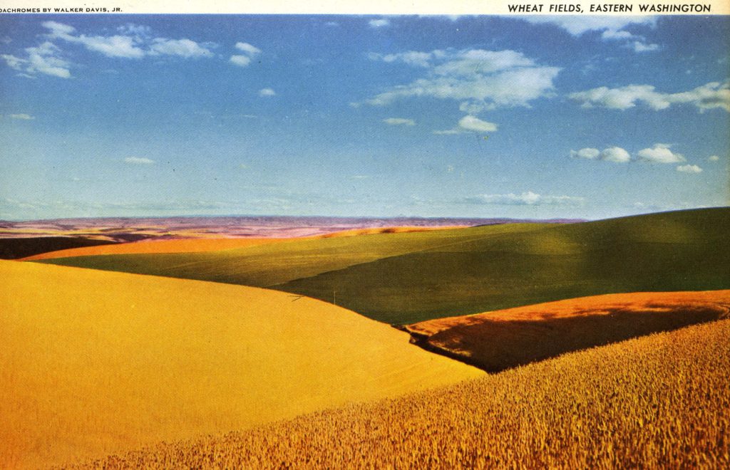 Revisiting Washington — Plains