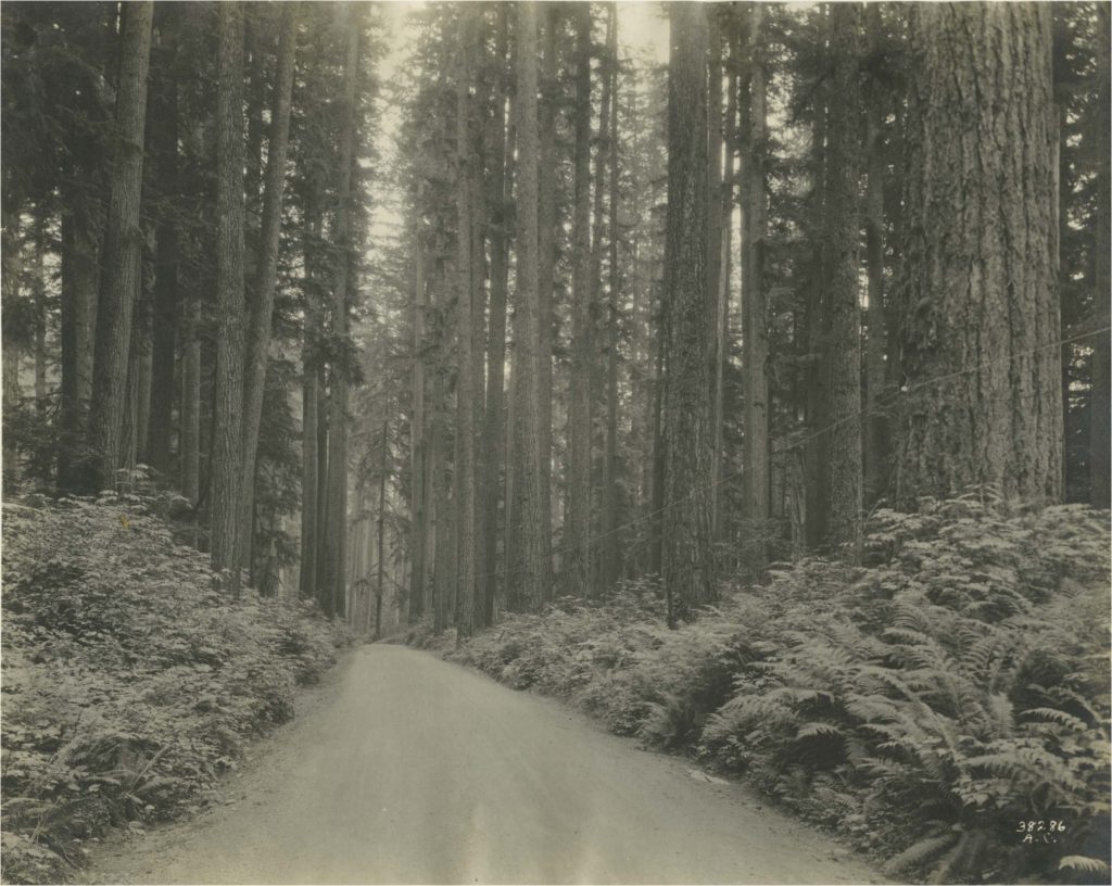 Revisiting Washington — White River Entrance