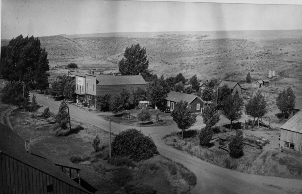 Revisiting Washington — Paha