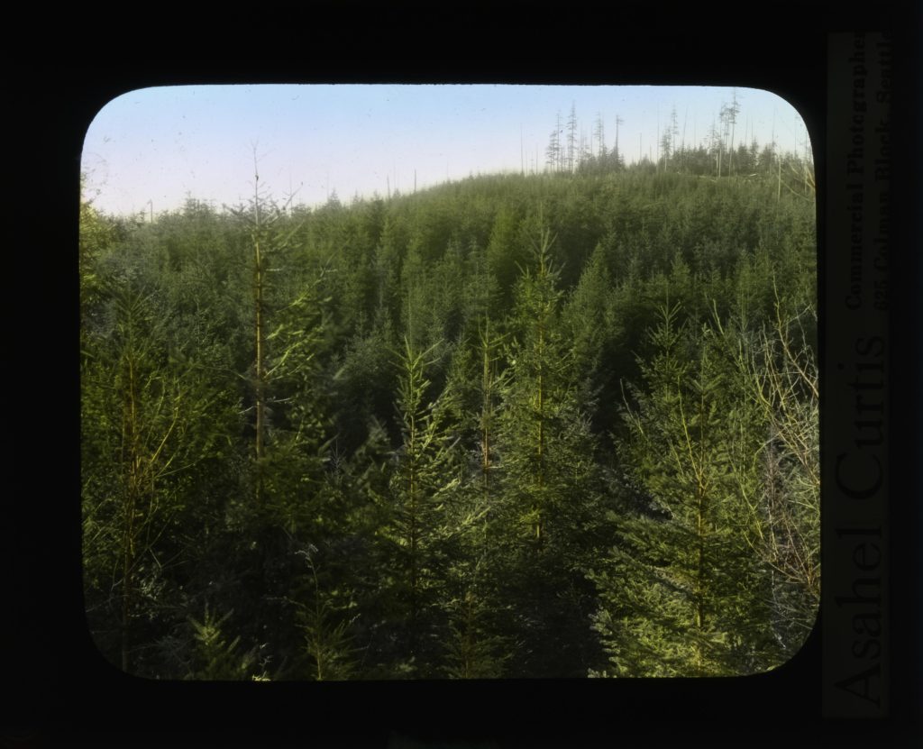 Revisiting Washington — Pack Demonstration Forest