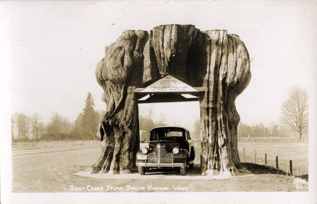 Revisiting Washington — Warm Beach