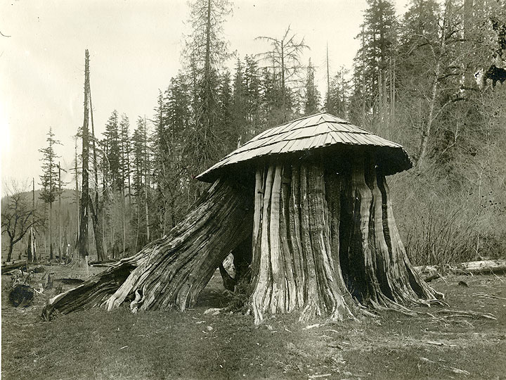 Revisiting Washington — Elwha