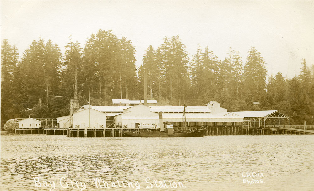 Revisiting Washington — Bay City