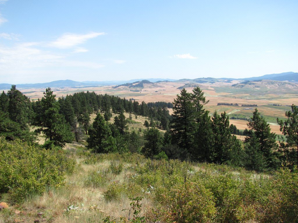 Revisiting Washington — Kamiak Butte Park