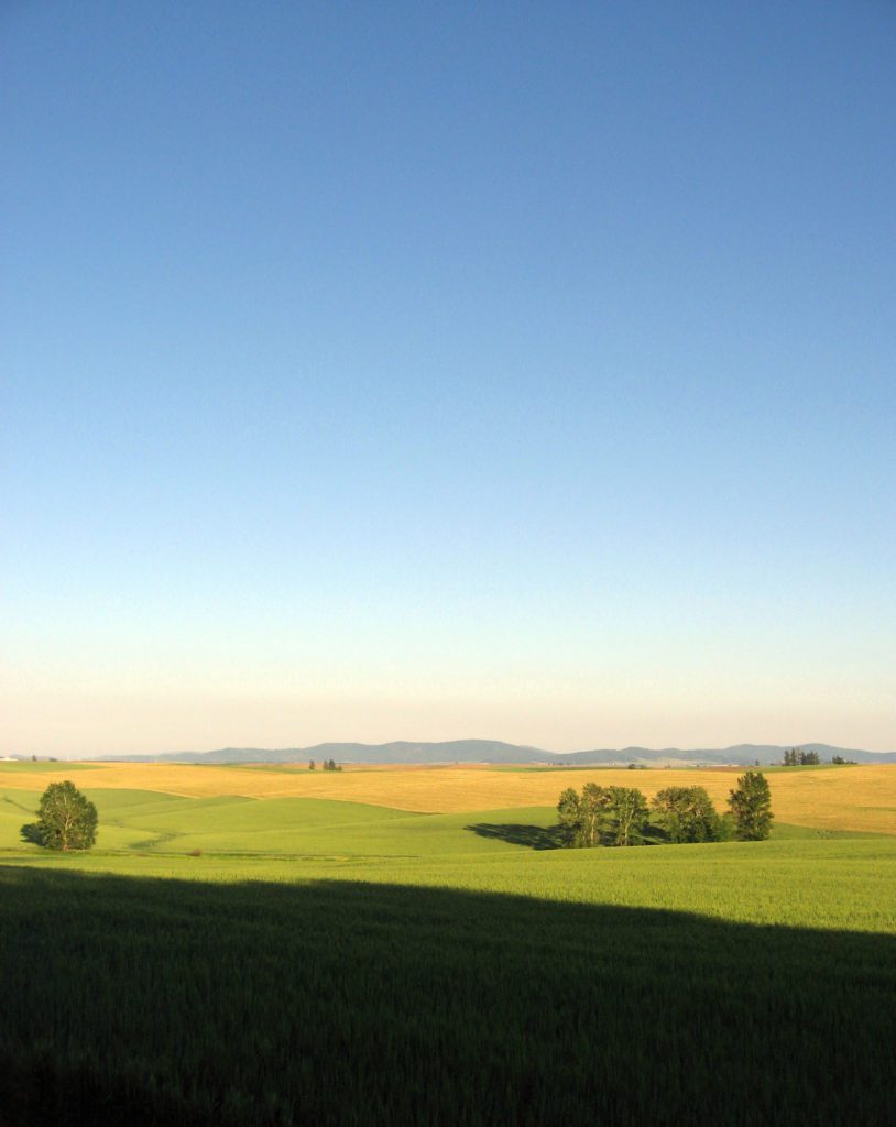 Revisiting Washington — Rockford