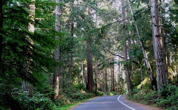 Revisiting Washington — Point Defiance Park