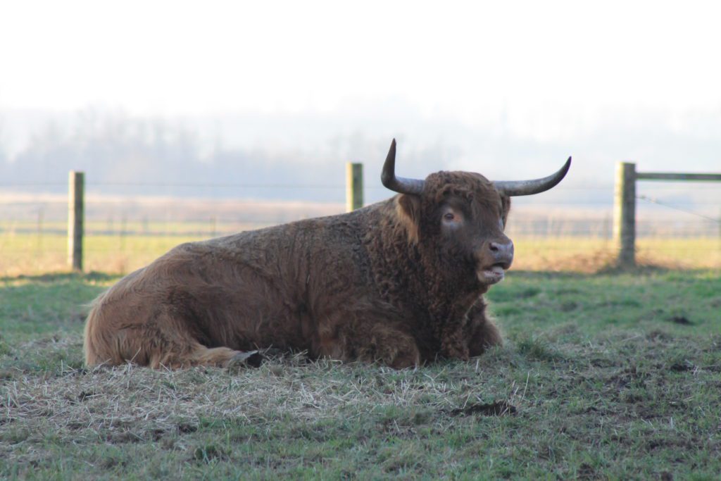 Revisiting Washington — Malone