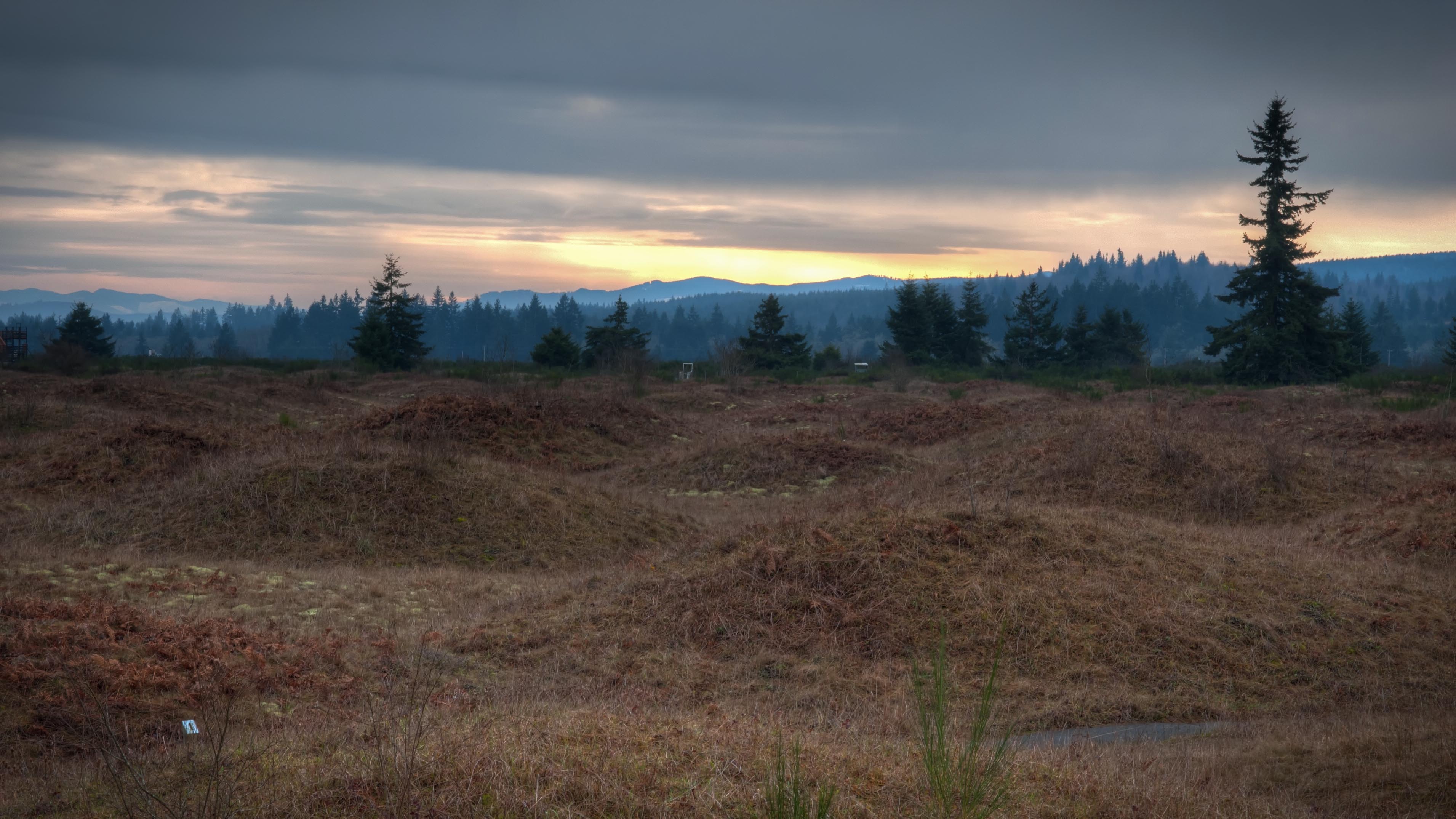 Revisiting Washington — Mima Mounds