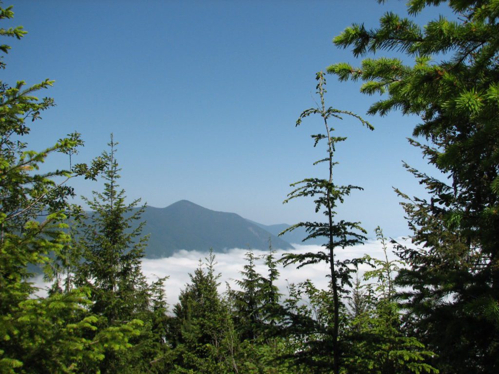 Revisiting Washington — Mount Walker